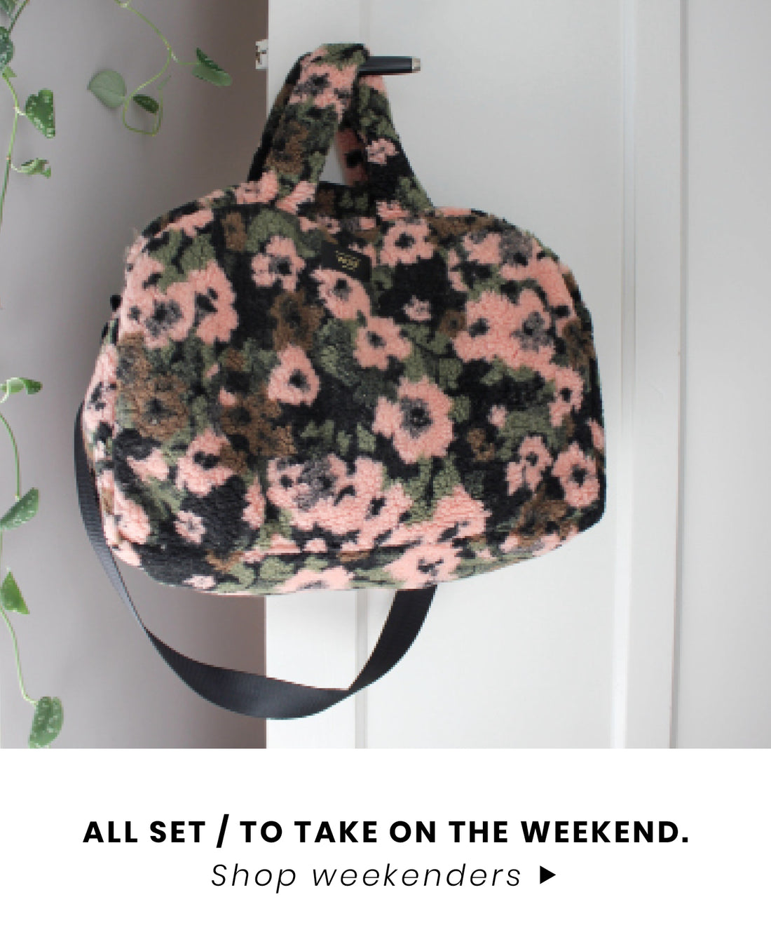 ALICE SCOTT | A Little Bird Told Me...